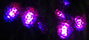 Dungeons and Dragons 5E Cantrips - Dancing Lights - His Majesty The King